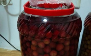 野生杨梅酒怎么做_自制杨梅酒要泡多久