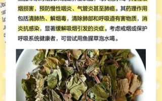 鱼腥草能长期泡水喝吗_鱼腥草的功效与禁忌