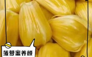 菠萝蜜的功效与作用_禁忌人群有哪些
