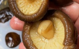 干香菇要泡多久_干香菇怎么泡发才快