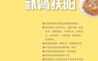 补肾壮阳吃什么好_肾虚怎么调理最快