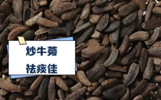 炒牛蒡子的功效与作用及禁忌_哪些人不能吃