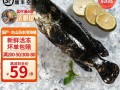 海斑鱼价格多少钱一斤_海斑鱼为什么这么贵