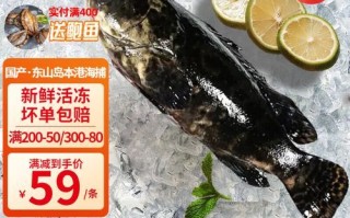 海斑鱼价格多少钱一斤_海斑鱼为什么这么贵