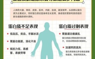 蛋白质的作用及功能_蛋白质对人体有哪些好处