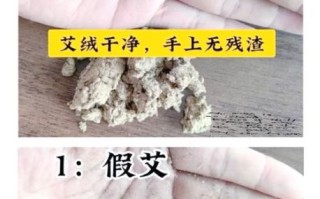 正宗艾叶图片_如何辨别真假