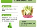 茭白什么人不能吃_哪些人不能吃茭白