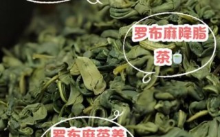 罗布麻茶降血压有效吗_罗布麻茶怎么喝降压好