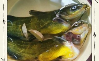 黄骨鱼面条怎么做好吃_黄骨鱼面汤做法