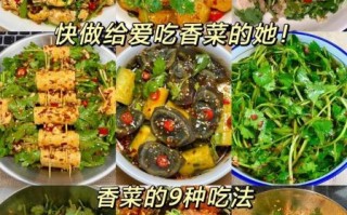 十香菜怎么吃最好_十香菜家常做法大全