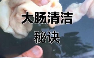 肥肠怎么清洗_肥肠清洗最干净的方法