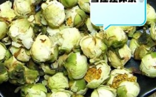 干雪莲花有什么功效_干雪莲花怎么吃效果最好