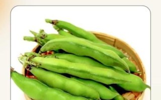 鲜蚕豆怎样吃没毒性_鲜蚕豆中毒怎么办