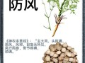 防风的功效与作用_防风怎么泡水喝