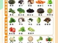 碱性食物都有什么_哪些碱性食物适合日常吃