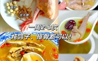 老鸽子汤怎么炖最营养_老鸽子汤炖多久最好