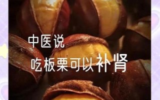 栗子怎么吃补肾效果最好_补肾吃栗子一天吃几颗