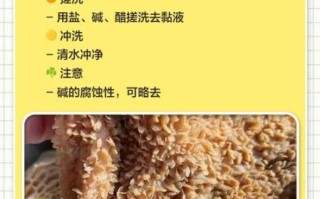 羊肚怎么清洗最干净_羊肚最正宗的做法