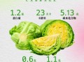 包菜的功效与作用_包菜的营养价值高吗