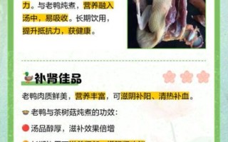 茶树菇老鸭汤什么人不能喝_禁忌人群与食用注意