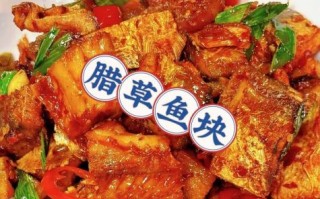草鱼块怎么煮好吃又简单_草鱼块最简单的家常做法