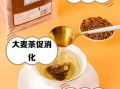大麦茶泡水喝的功效_长期喝有什么好处