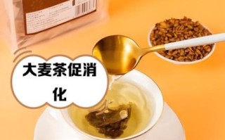 大麦茶泡水喝的功效_长期喝有什么好处
