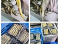 野生小黄鱼多少钱一斤_野生小黄鱼怎么分辨真假