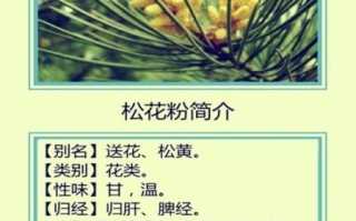 松花粉的功效与作用禁忌_什么人不能吃