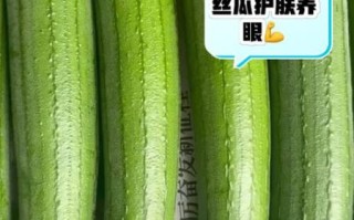 男人多吃丝瓜影响性功能吗_丝瓜对男性激素的真相