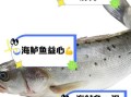 海鲈鱼的营养价值_海鲈鱼的禁忌人群