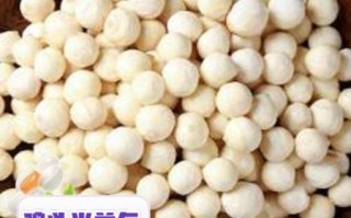 鸡头米的功效与作用_多少钱一斤