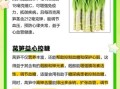 莴苣的营养价值_莴苣可以生吃吗