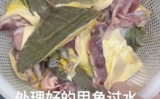 鳖的做法视频教程_如何炖鳖汤不腥