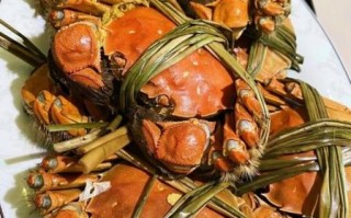 蒸大闸蟹的做法和时间_蒸多久才最鲜美