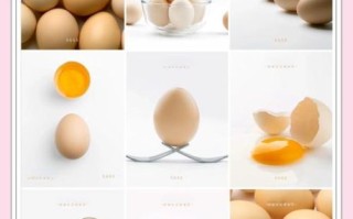 鸡蛋图片高清_如何拍摄