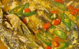 红烧黄骨鱼怎么做好吃_红烧黄骨鱼的做法视频