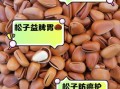 东北松子营养价值_东北松子功效与作用