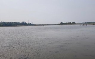 田螺图片高清_如何拍摄田螺细节