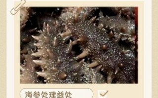 鲜海参怎么处理_鲜海参怎么吃最好