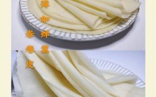 春卷皮怎么保存_春卷皮可以做什么小吃