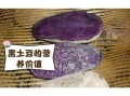 黑土豆是什么_黑土豆怎么吃