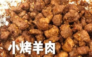 家庭自制羊肉串怎么腌制_羊肉串腌制配方