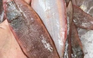 龙利鱼贵吗_龙利鱼多少钱一斤