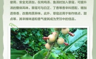 草寇是什么意思_草寇与山贼区别