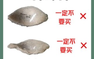 燕窝市场价格多少钱一克_如何辨别真假燕窝