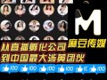 麻豆腐传媒是做什么的_麻豆腐传媒如何盈利