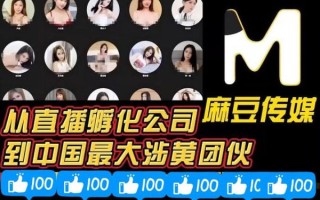 麻豆腐传媒是做什么的_麻豆腐传媒如何盈利