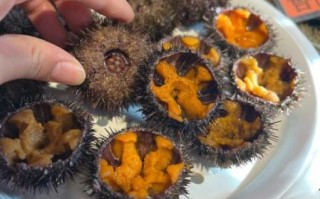 海胆生吃有寄生虫吗_生吃海胆安全吗
