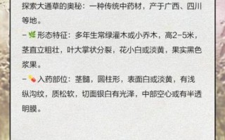 通草丰胸真的有用吗_通草增大多久见效